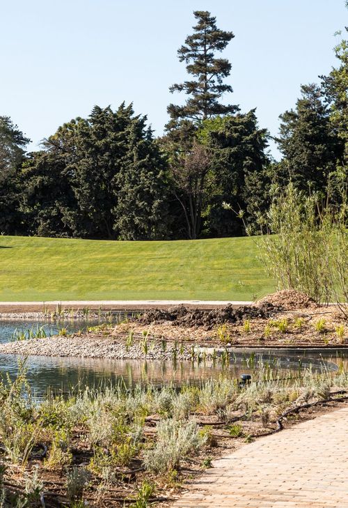 LUMA Live | LUMA Live